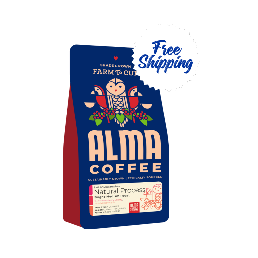 Alma Starter Kit – Alma Coffee